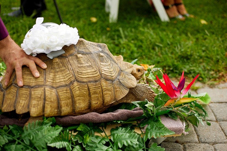 Samantha & Shukran’s Wildlife Wedding ⋆ Unconventional Wedding