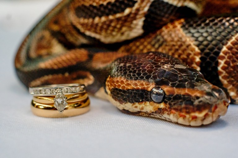 Samantha & Shukran’s Wildlife Wedding ⋆ Unconventional Wedding