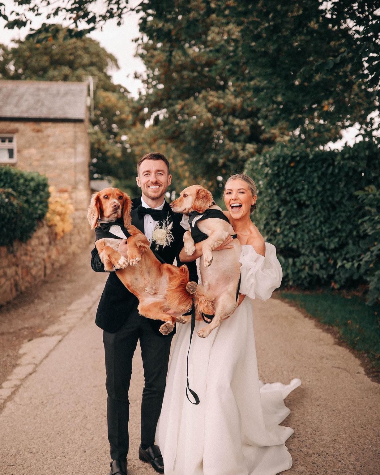 Dogs at Weddings - How to include your Dog in your Wedding Day ⋆