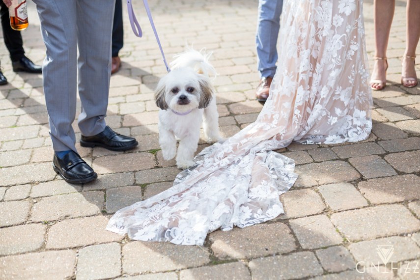 Dogs at Weddings - How to include your Dog in your Wedding Day ⋆
