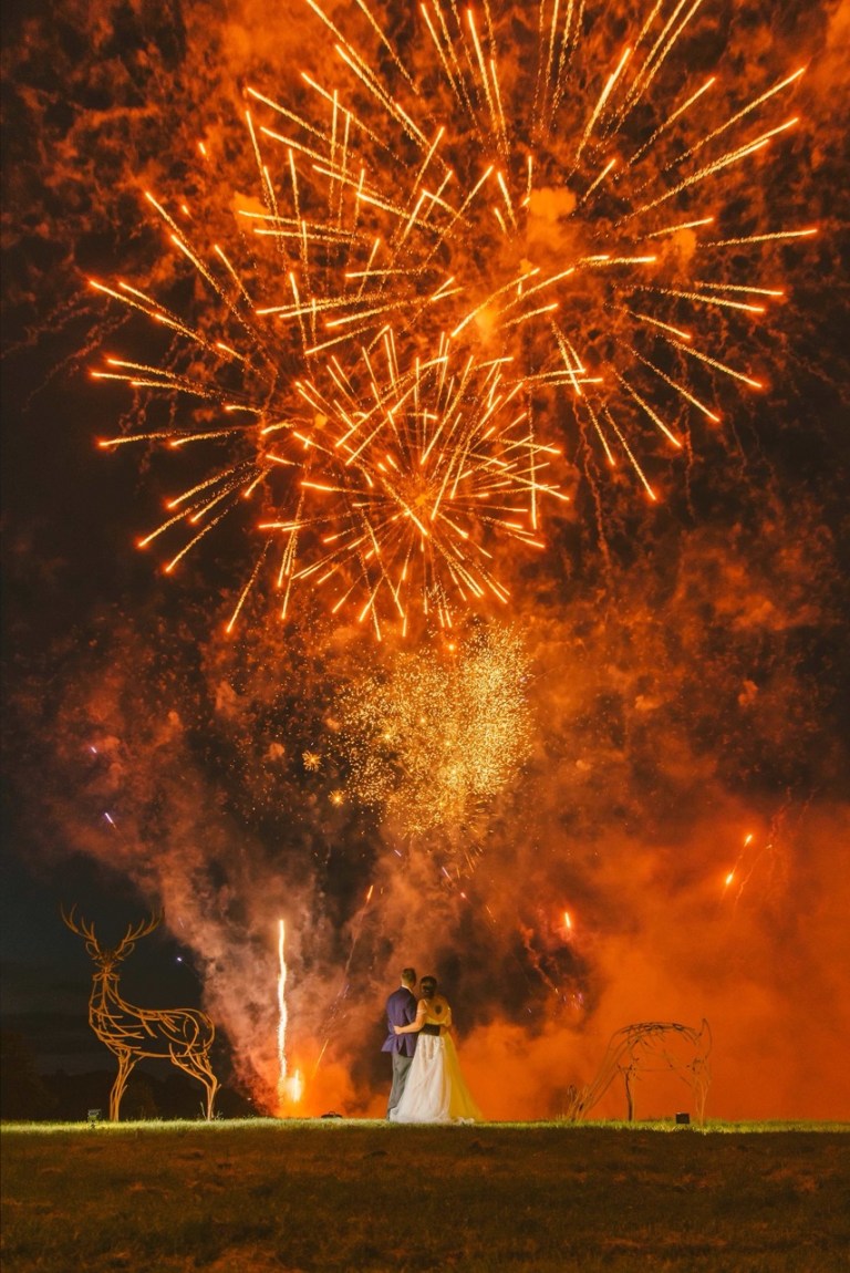 Circus Themed Fireworks Wedding ⋆ Unconventional Wedding