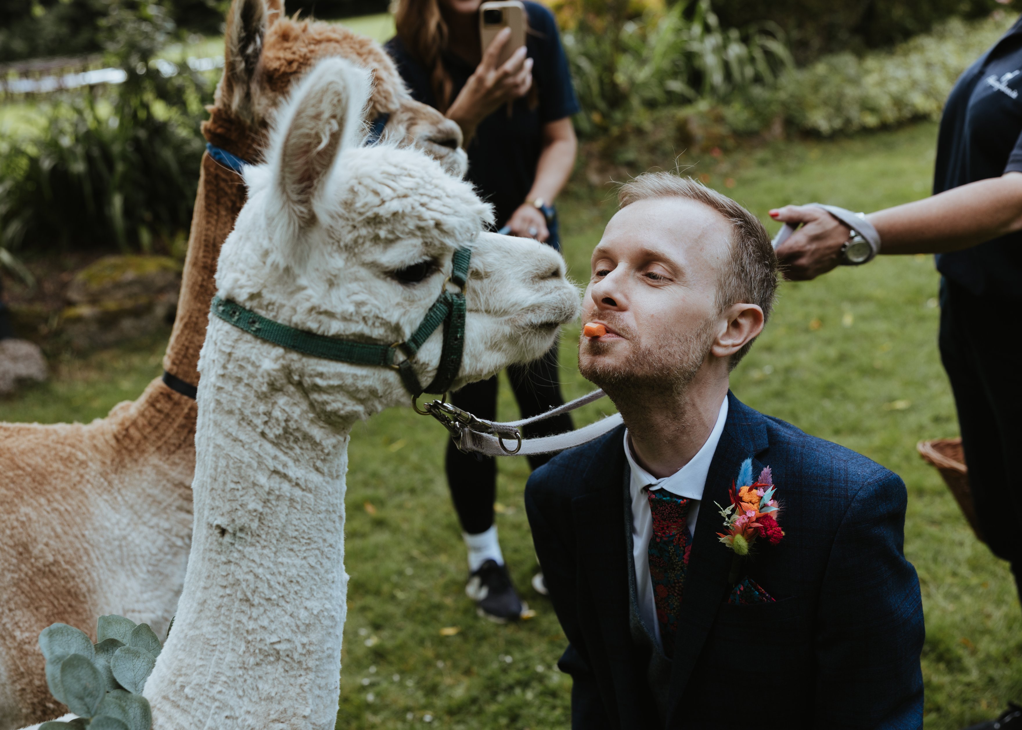 Celebrants ⋆ Our guide to a Celebrant wedding ⋆ Unconventional Wedding