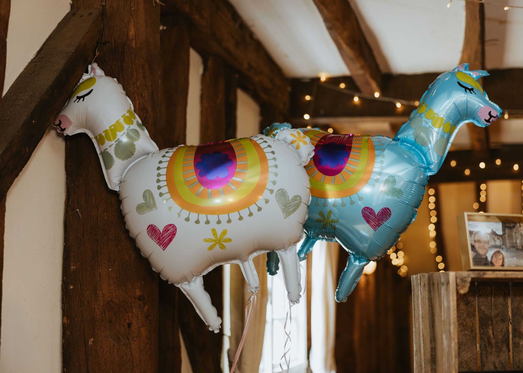 Gary & Rachel's Alpaca Wedding ⋆ Colourful Wedding Ideas