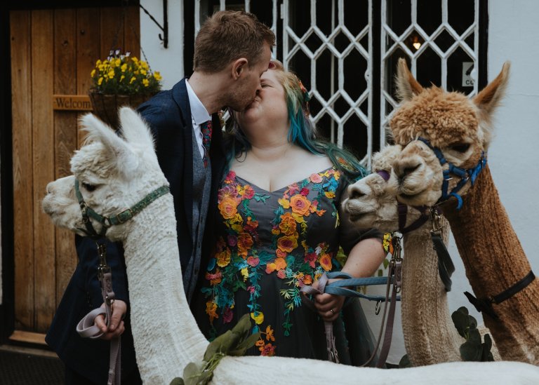 Gary & Rachel's Alpaca Wedding ⋆ Colourful Wedding Ideas
